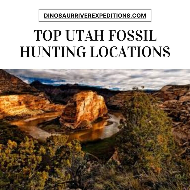 Eco-Friendly Rafting in Utah: Preserving Our Natural Waterways