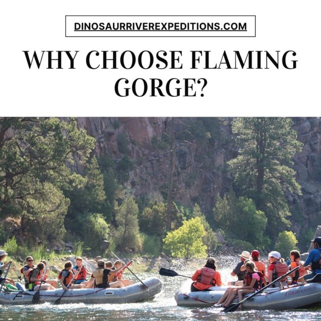 White Water Rafting Utah 1 Day Trips